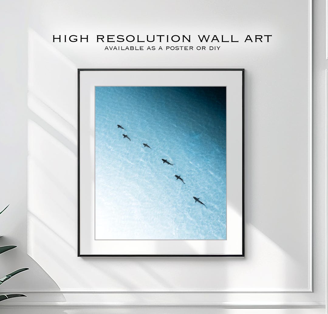 Poster of Shark Sanctuary, Coral Bay, Western Australia | Digital ...