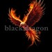 Fiery Phoenix Digital Art, Printable Fire Bird Design (300 DPI - PNG ...