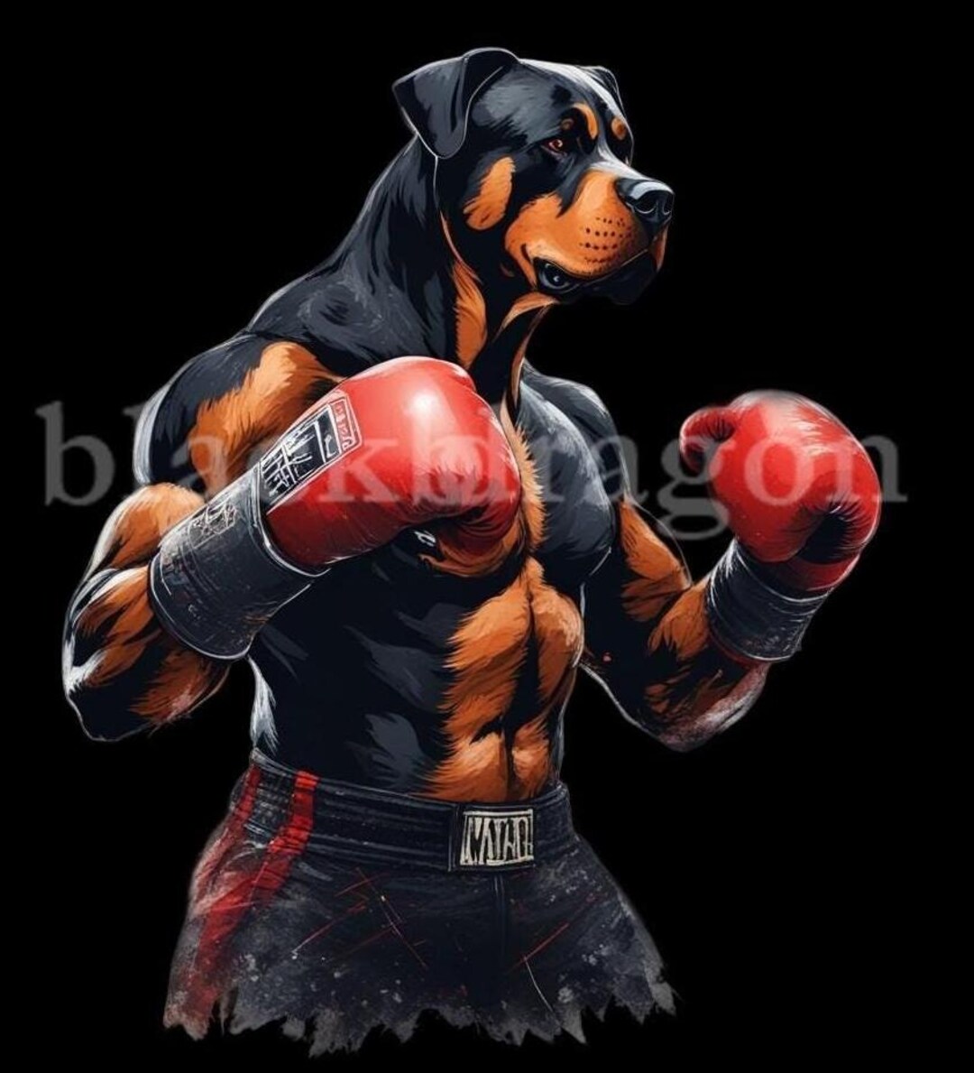 Boxing Rottweiler Design - Printable Muscle Dog Fighter Digital Art for ...