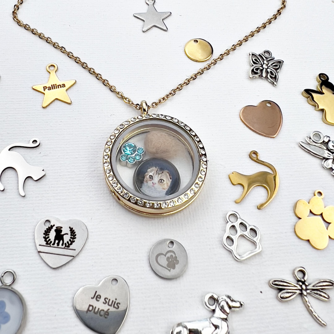 Personalized Locket With Photo and Engraving, Dog Cat Hair Keepsake ...