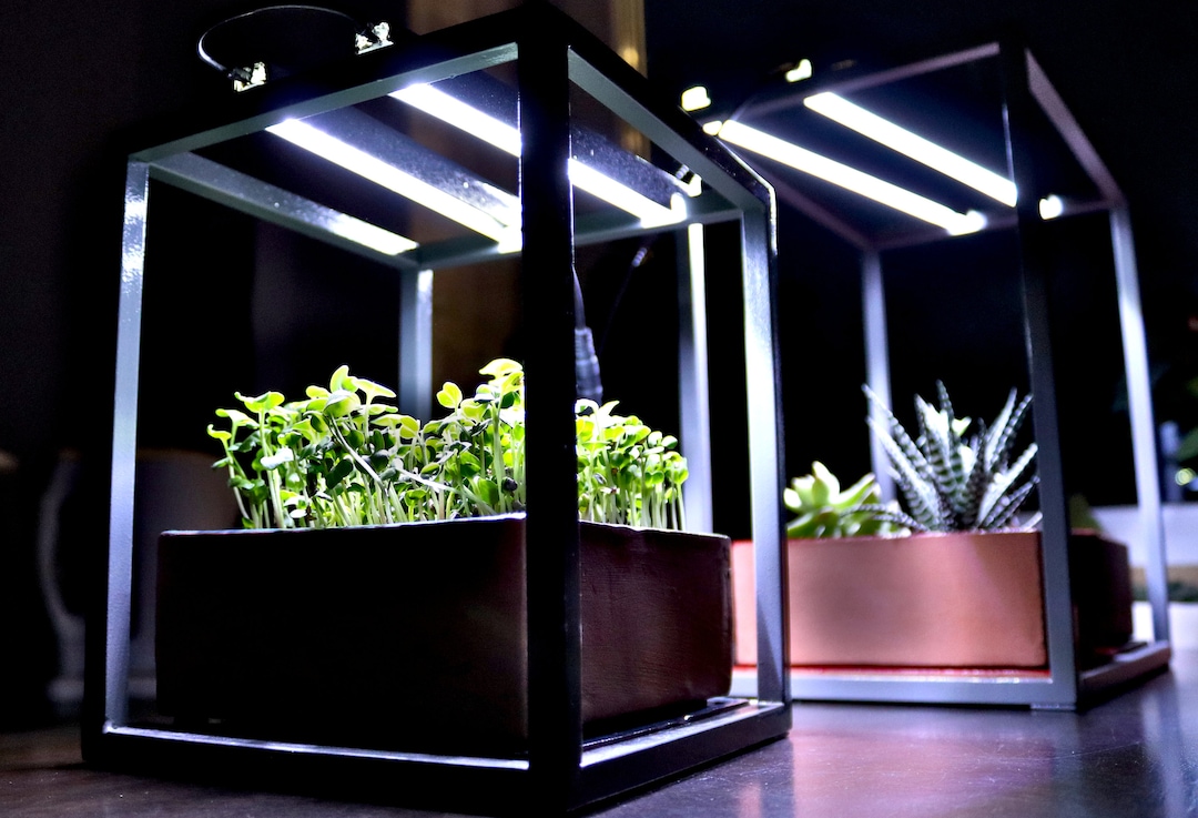 Growing Lights for Microgreens, Two Ceramic Planters, Led Lights, Black ...