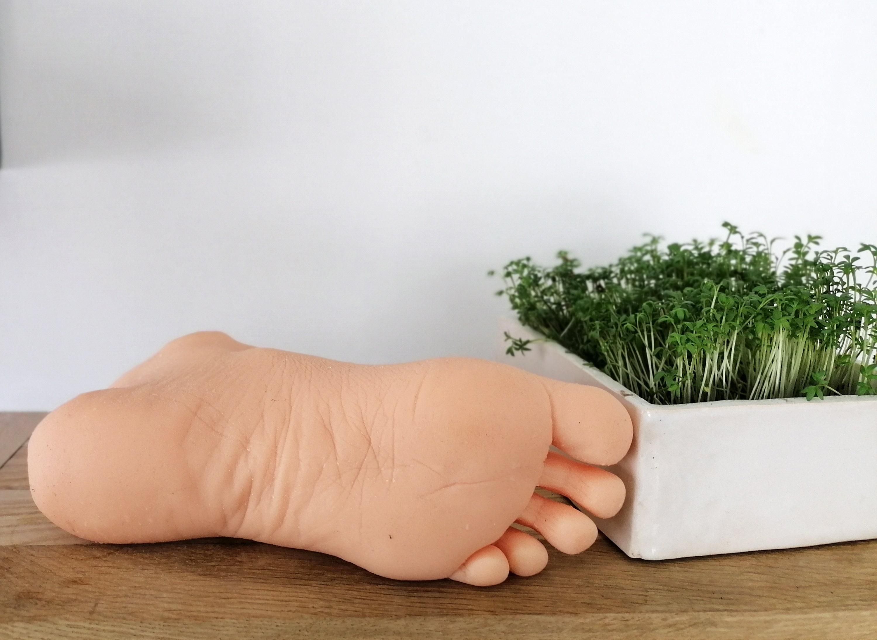 Left Foot. Silicone Feet, Fake Soft Rubber Silicone Foot. Cast From a ...