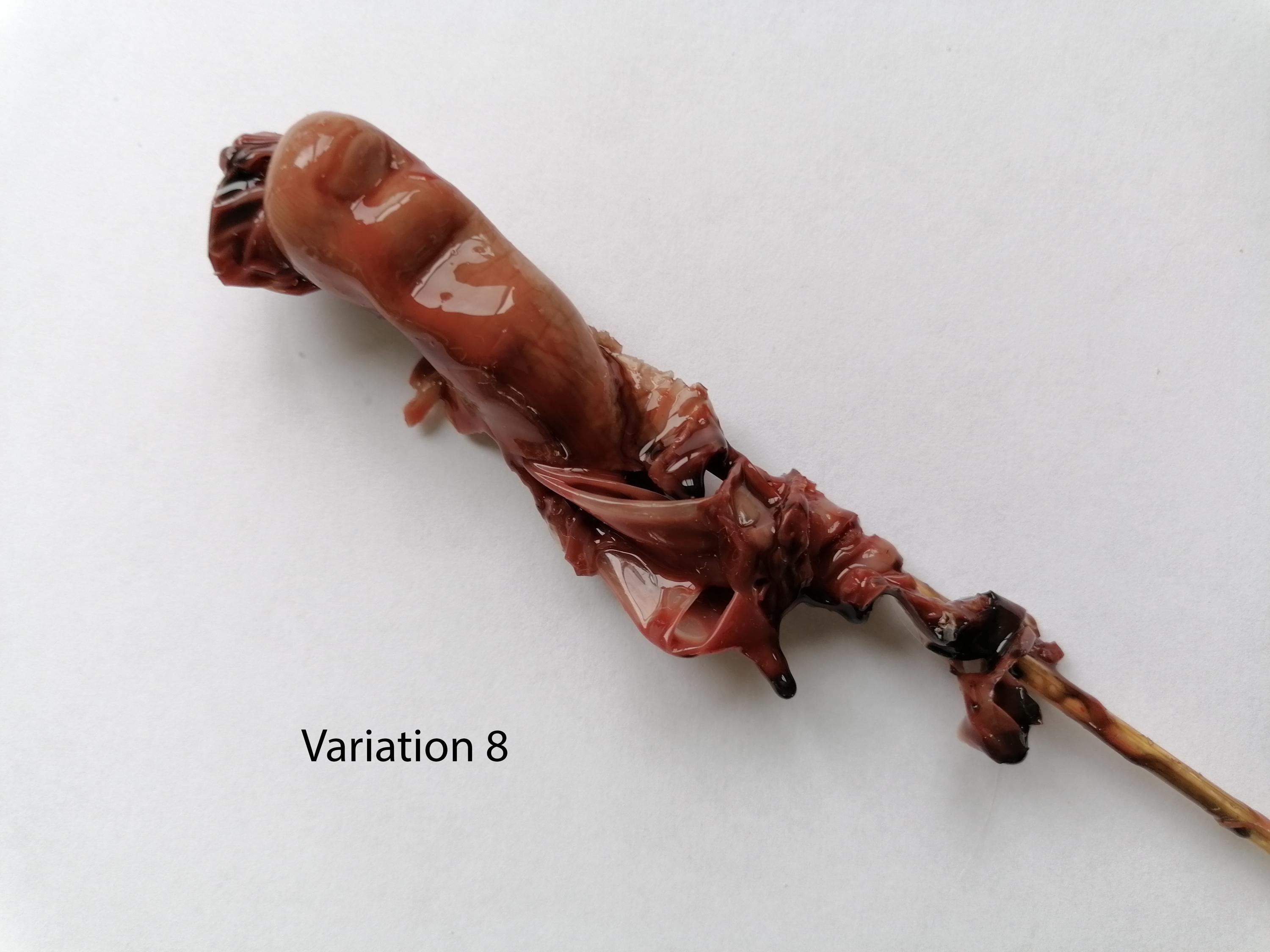 Bloody Silicone Finger. Cut Finger With Blood. Rotten Toes - Etsy