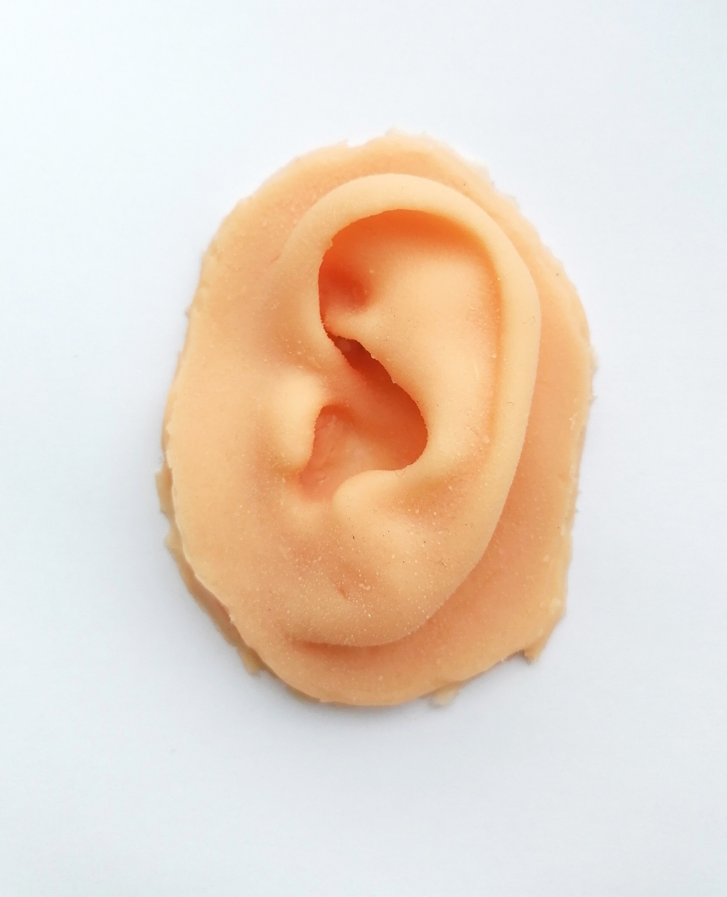 Silicone Ear Life Cast From a Young Man. SFX Ears. Left Ear. - Etsy