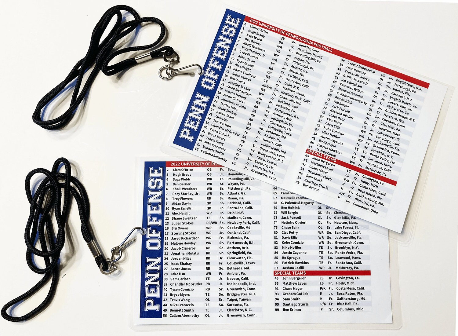 Football Roster Cards at James Mccauley blog