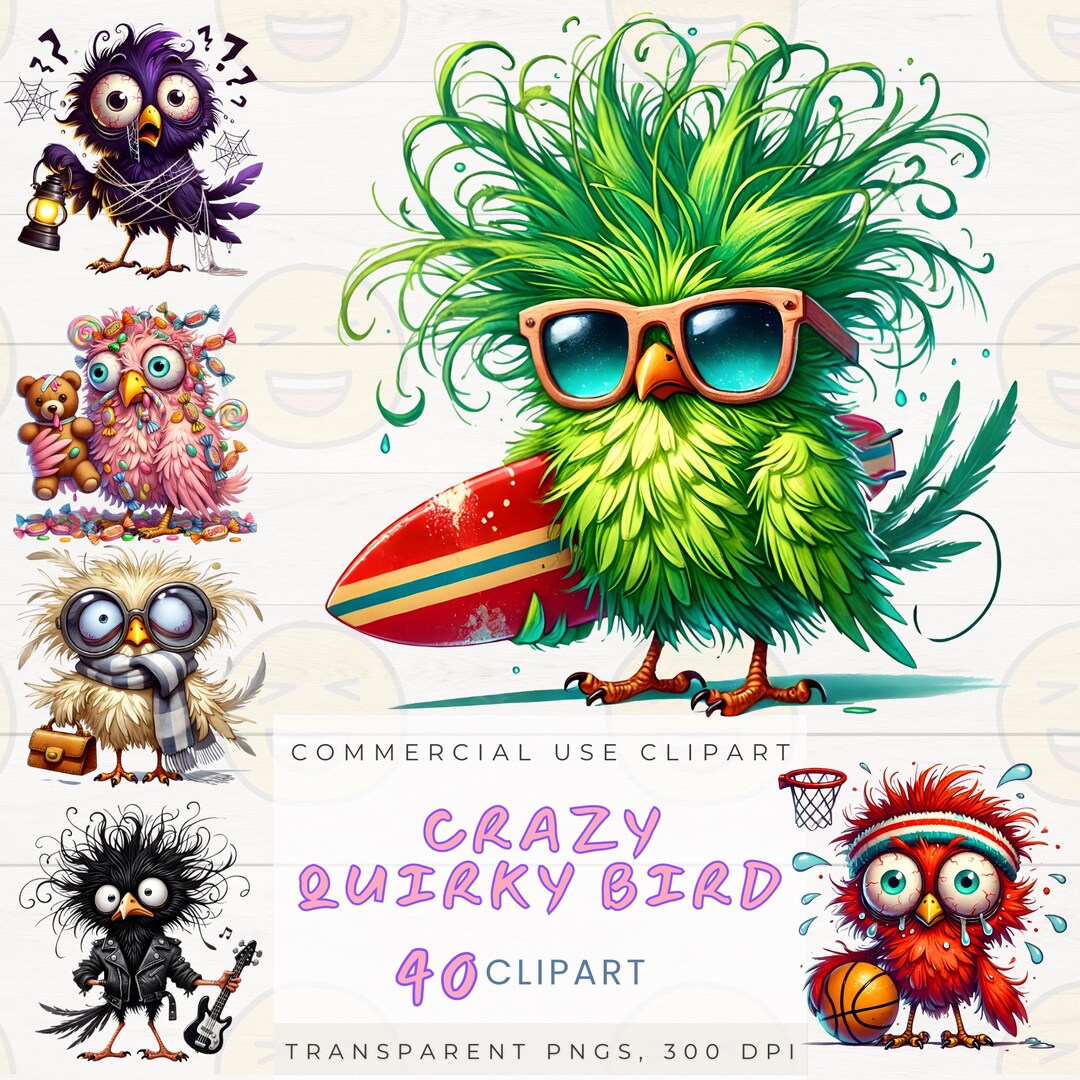 Crazy Quirky Bird Clipart Bundle - 40 Funny Cartoon Bird Pngs for ...