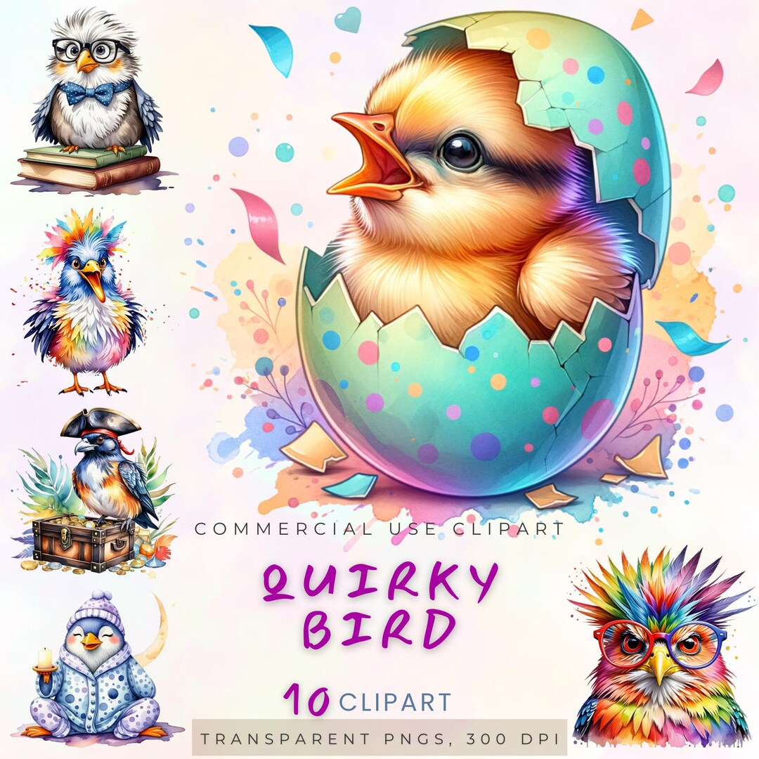 Quirky Bird Clipart Set, Cute Baby Chick Pngs, Funny Bird Illustrations ...