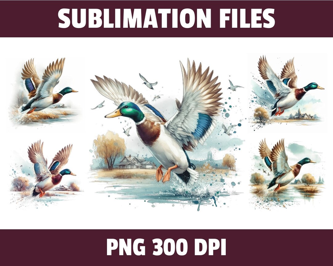 Flying Mallard Duck Sublimation Duck Hunt Png Duck in Lake Hunting ...