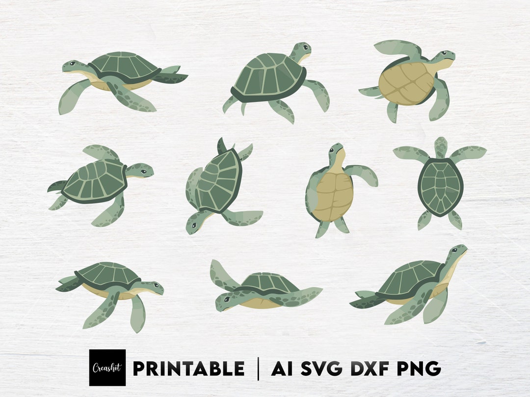 Tortuga con onda svg Archivo tortuga svg Tortuga marina svg - Etsy España