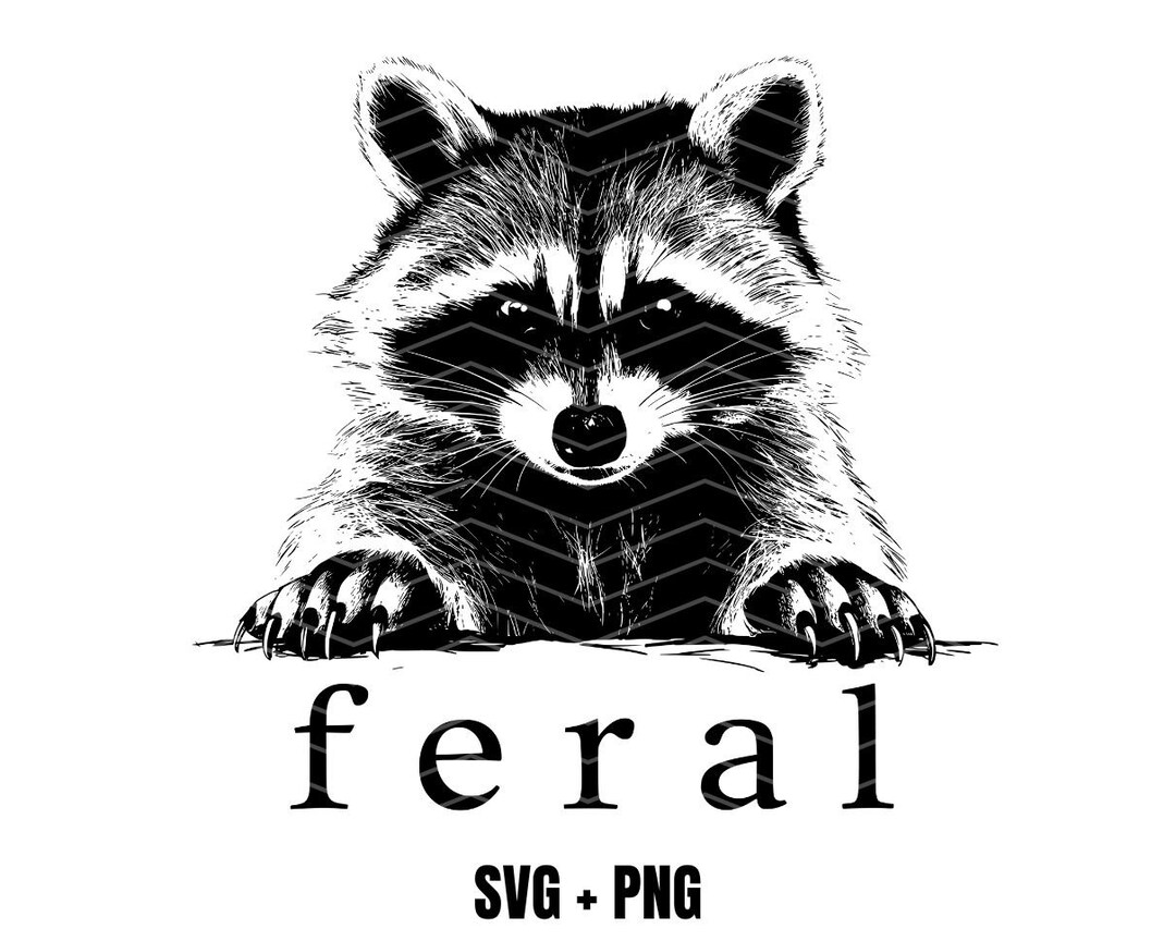 Feral Raccoon Png Digital Downlo Kids Feral Png Kids Raccoon Png Feral ...