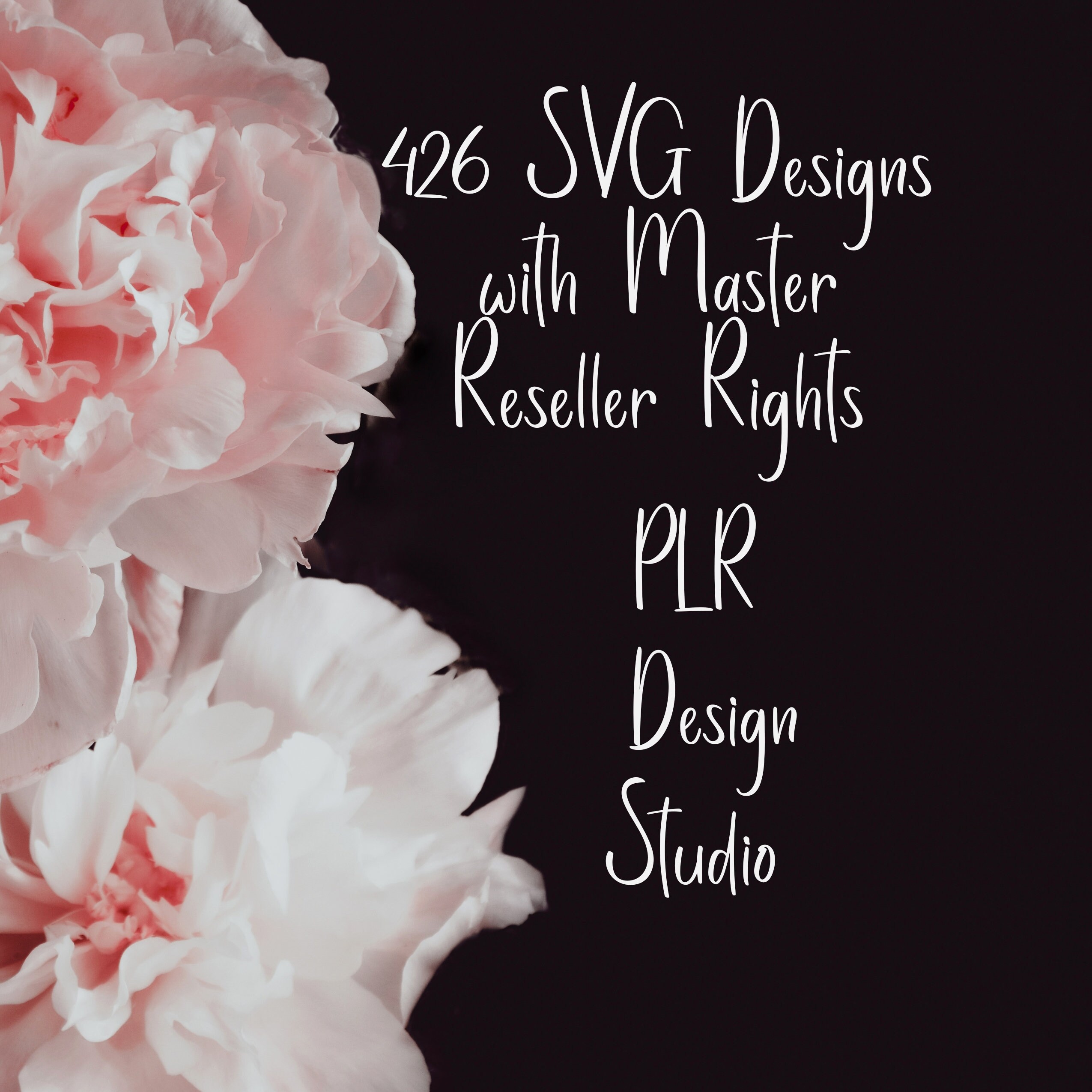 PLR SVG Bundle With Master Reseller Rights 426 SVG Designs - Etsy