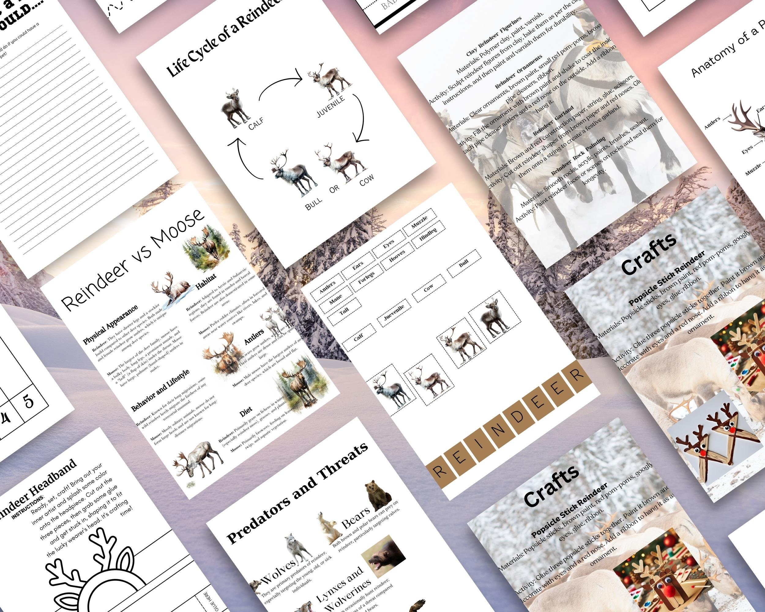 Reindeer Unit Study | Homeschool Printable | Nature Study | Instant ...