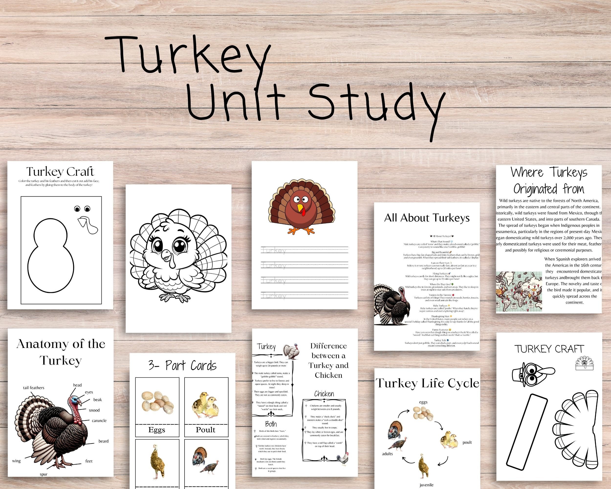 Turkey Unit Study INSTANT DOWNLOAD - Etsy