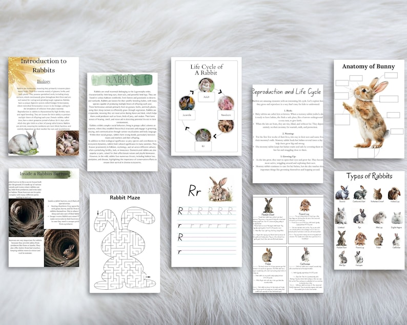 Rabbit Unit Study| Bunny| Homeschool Printable | Printables for Kids ...