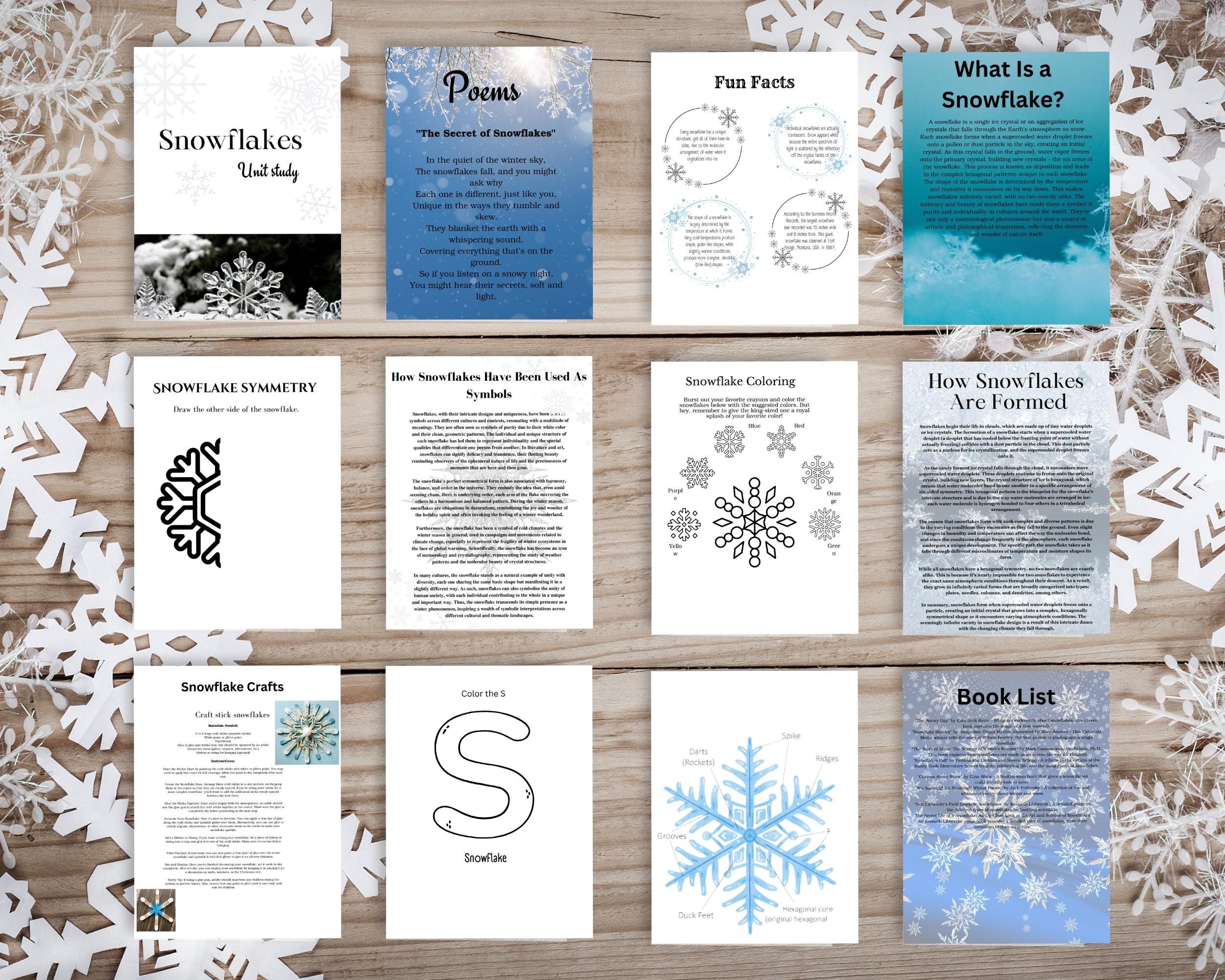 Mini Snowflake Unit Study |winter Kids Activity | Snow | Homeschool ...