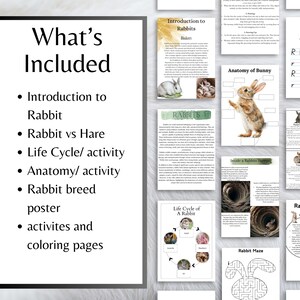 Rabbit Unit Study| Bunny| Homeschool Printable | Printables for Kids ...