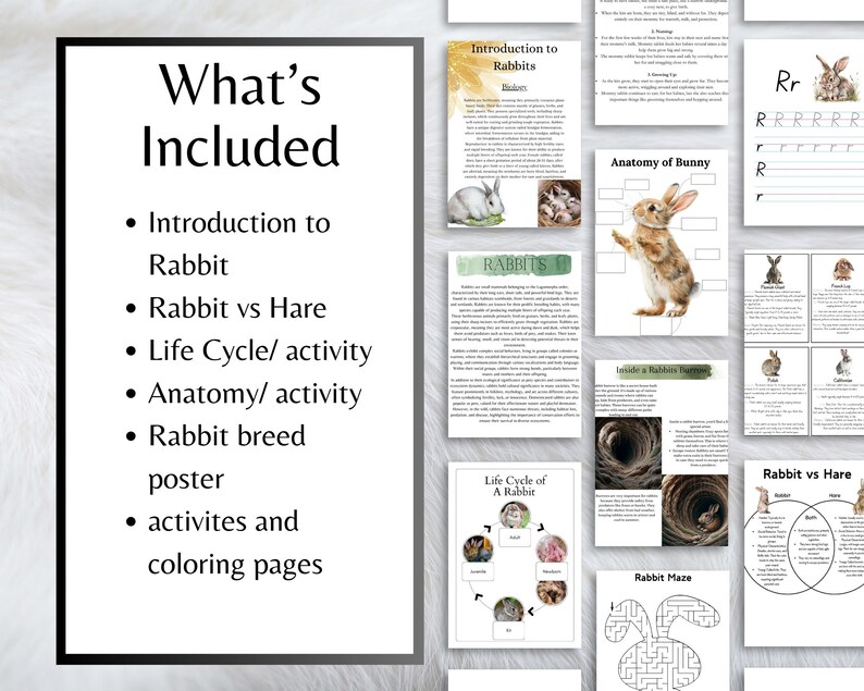 Rabbit Unit Study| Bunny| Homeschool Printable | Printables for Kids ...