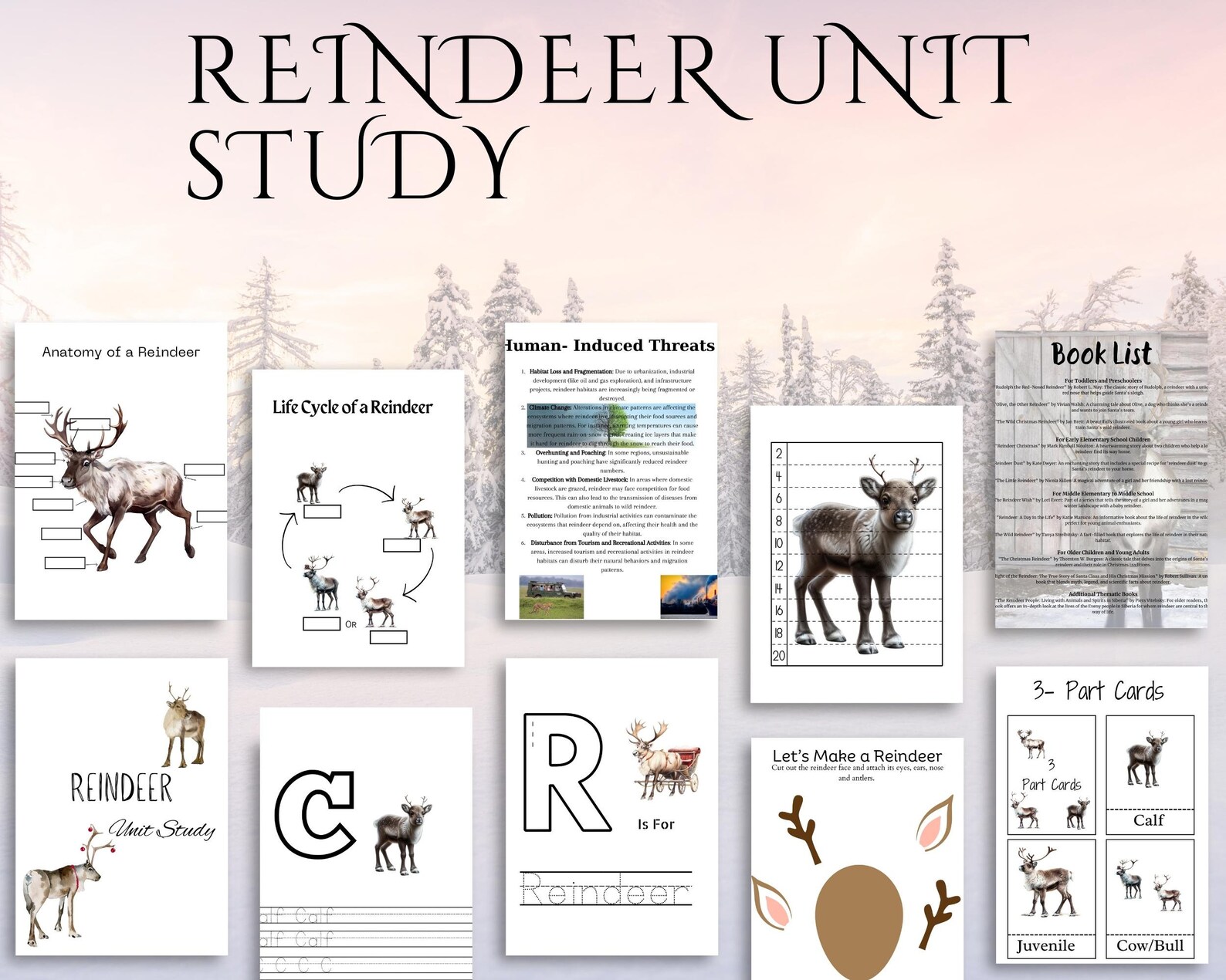 Reindeer Unit Study | Homeschool Printable | Nature Study | Instant ...