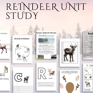 Reindeer Unit Study | Homeschool Printable | Nature Study | Instant ...