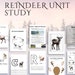 Reindeer Unit Study | Homeschool Printable | Nature Study | Instant ...
