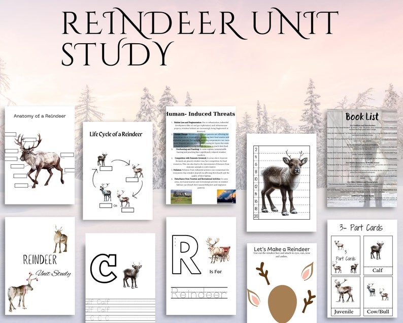 Reindeer Unit Study Homeschool Printable Nature Study Instant Download ...