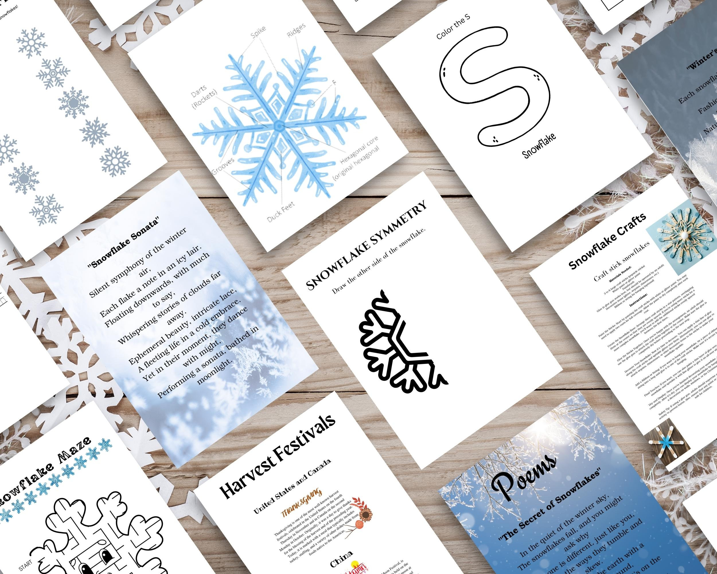 Snowflake Mini Unit Study: Winter Kids Activities (printable) - Etsy