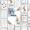 Nativity Unit Study | Birth of Jesus | Homeschool Printable| Vocabulary ...