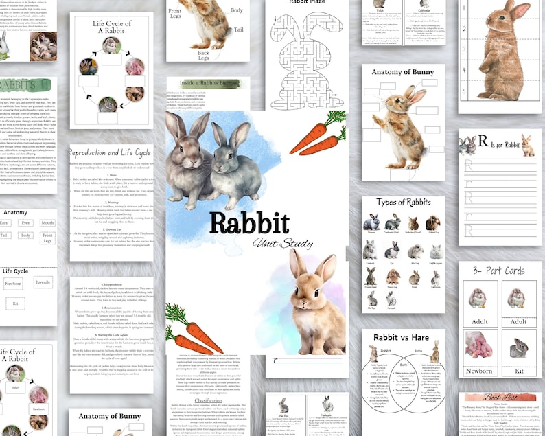 Rabbit Unit Study| Bunny| Homeschool Printable | Printables for Kids ...