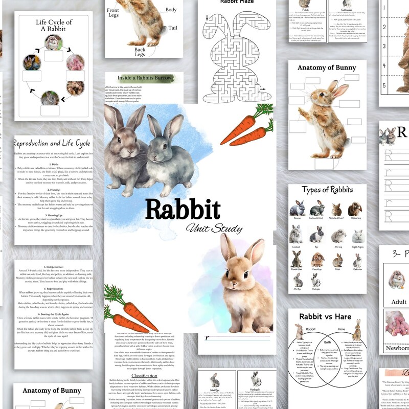 Spring Unit Study - Etsy