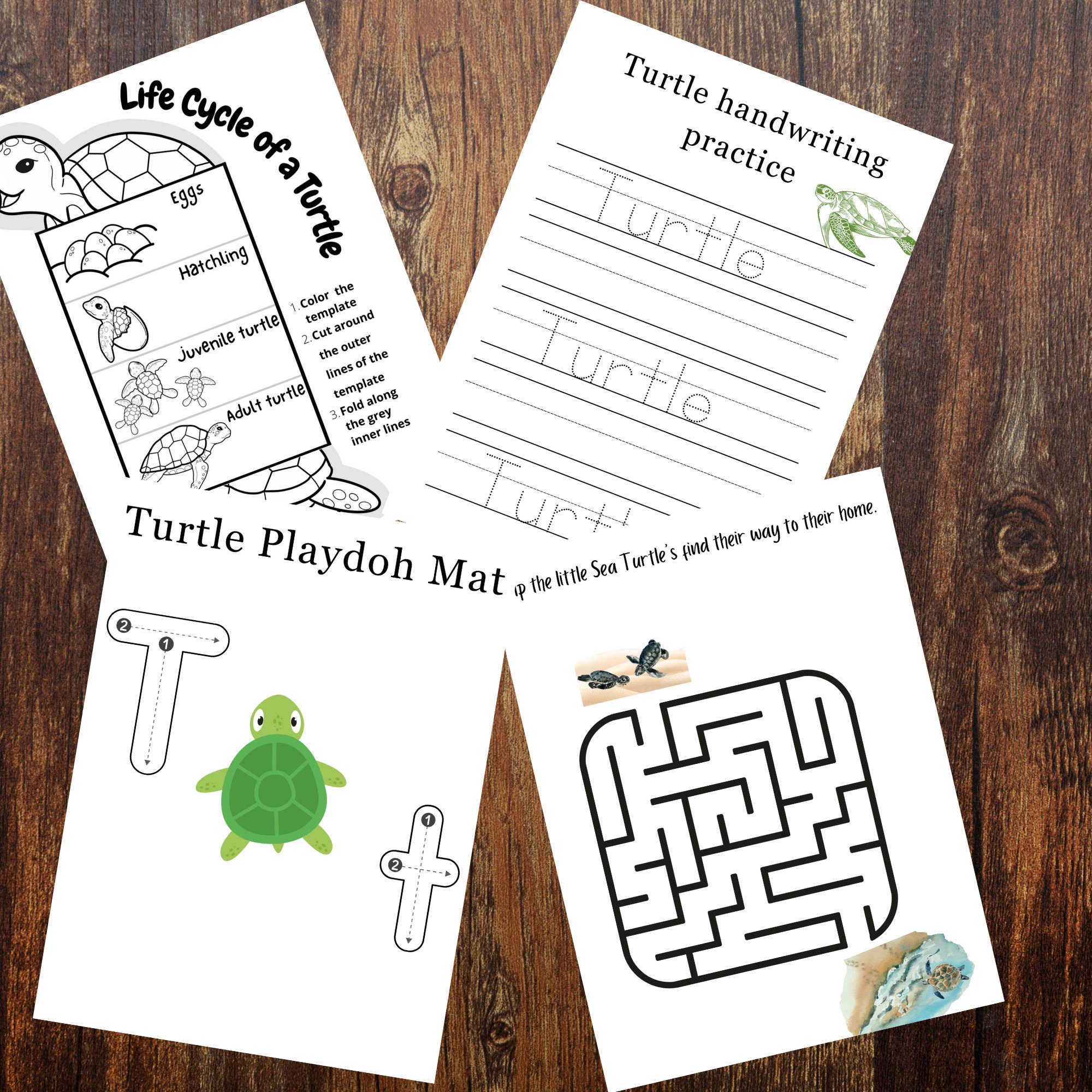 Turtle Unit Study/ INSTANT DOWNLOAD/ Turtles, Sea Turtles, Tortoises - Etsy