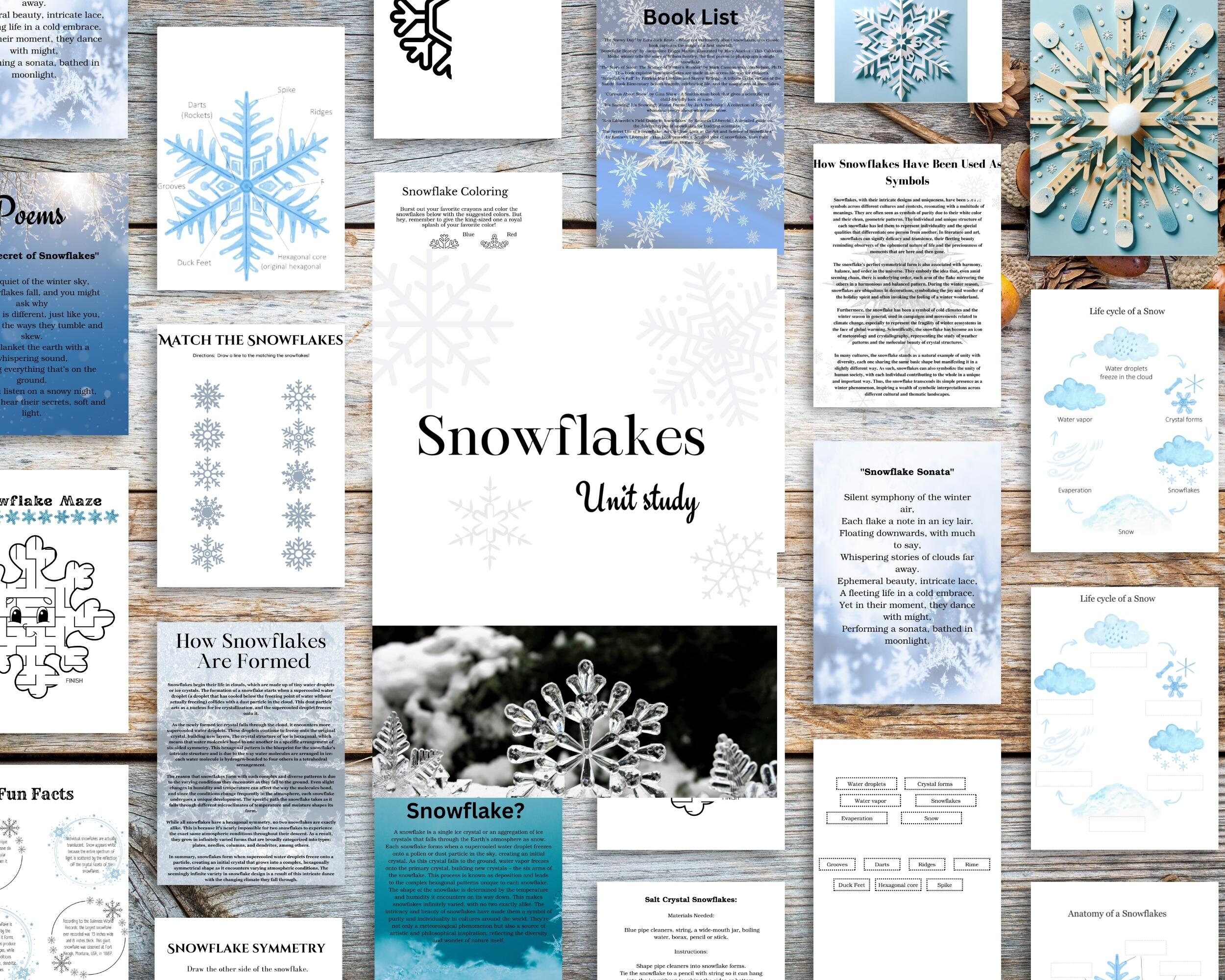 Mini Snowflake Unit Study |winter Kids Activity | Snow | Homeschool ...