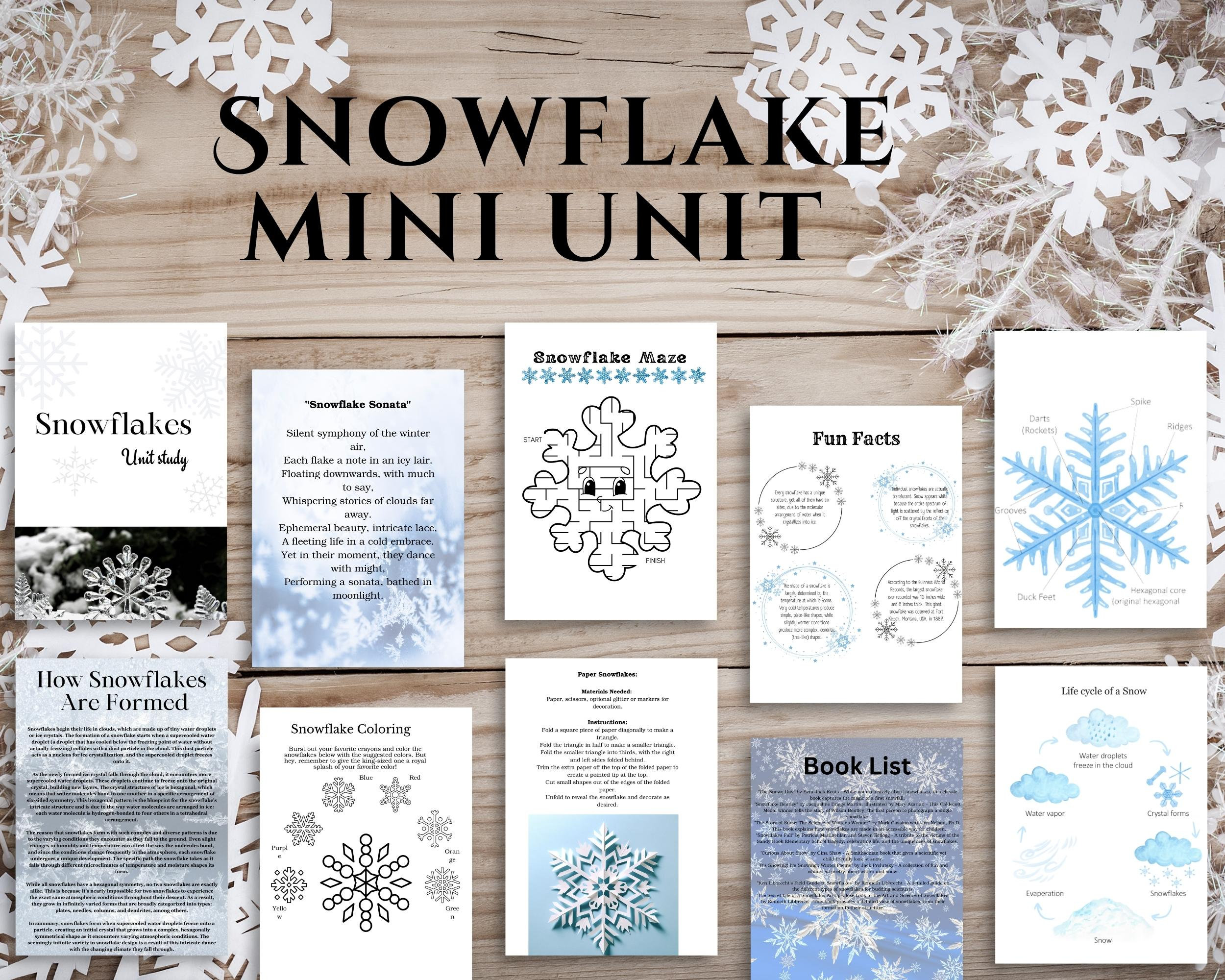 Mini Snowflake Unit Study |winter Kids Activity | Snow | Homeschool ...