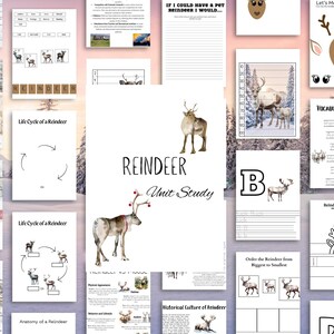 Reindeer Unit Study | Homeschool Printable | Nature Study | Instant ...