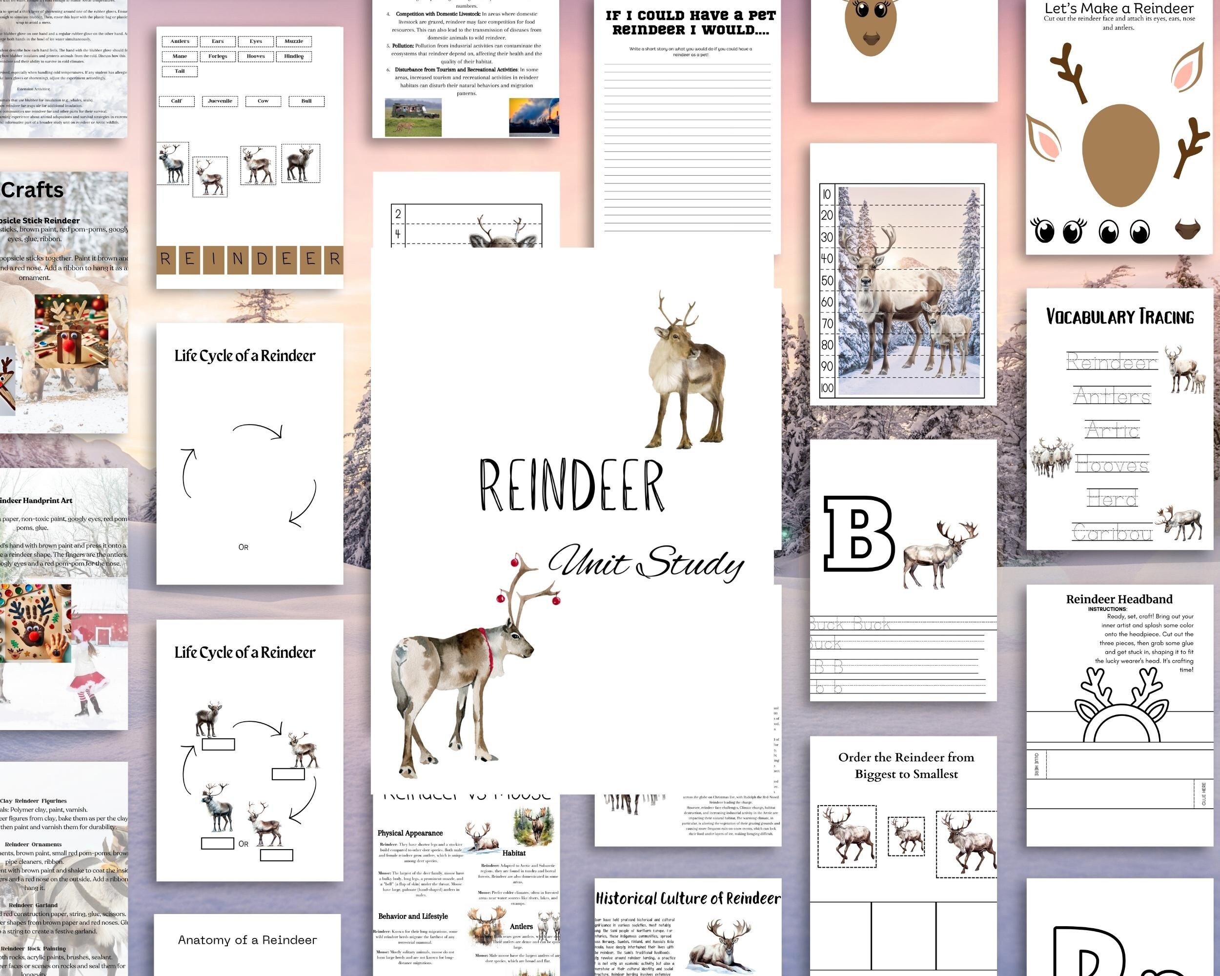 Reindeer Unit Study Homeschool Printable Nature Study Instant Download ...