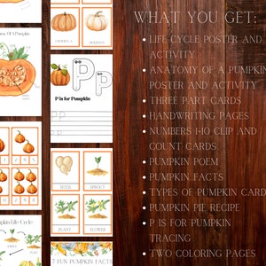 Pumpkin Unit Study INSTANT DOWNLOAD Fall Study - Etsy