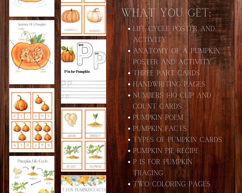 Pumpkin Unit Study INSTANT DOWNLOAD Fall Study - Etsy