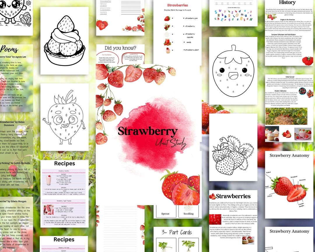 Strawberry Life Cycle | Strawberry Unit Study | Instant Download ...