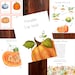 Pumpkin Unit Study INSTANT DOWNLOAD Fall Study - Etsy