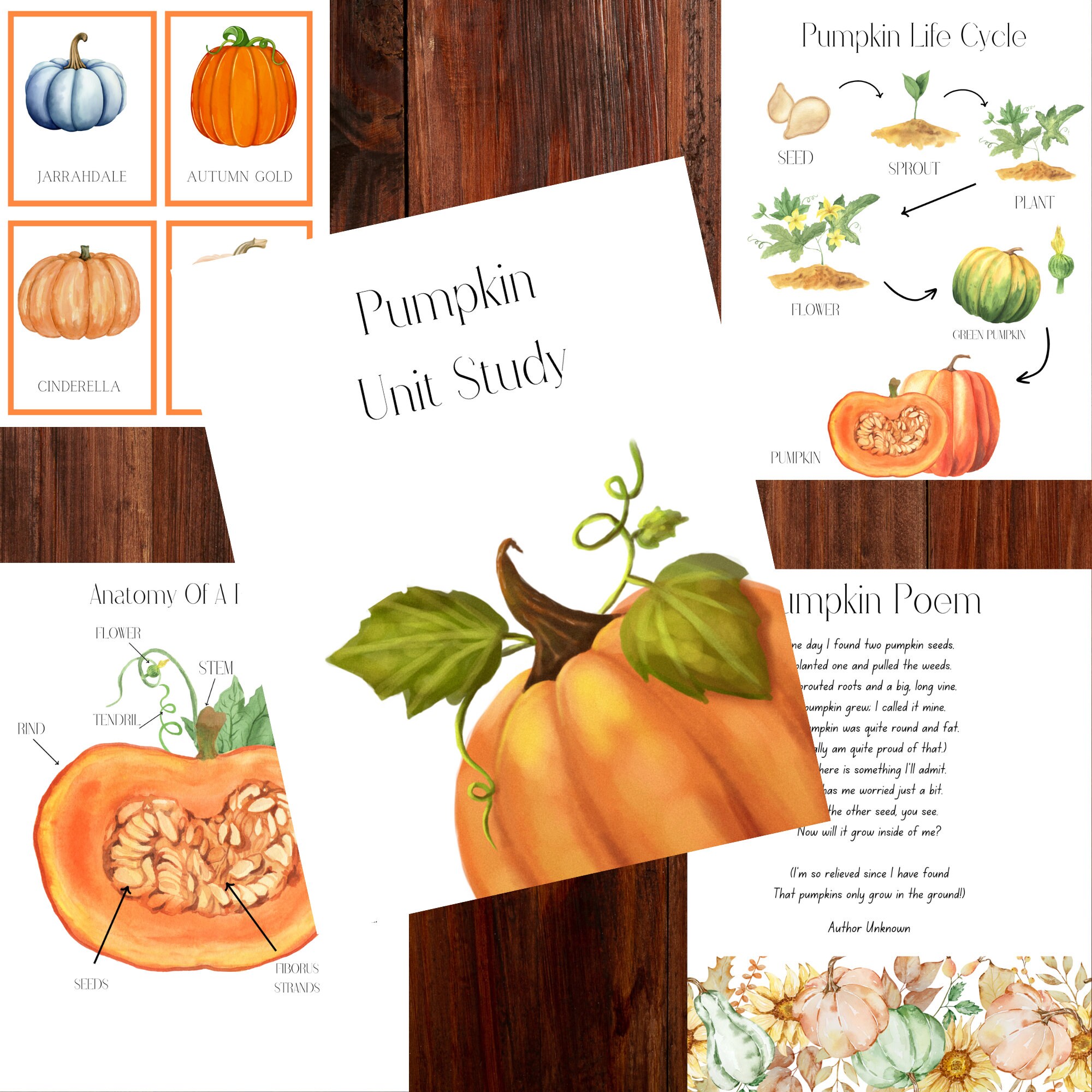 Pumpkin Unit Study INSTANT DOWNLOAD Fall Study - Etsy