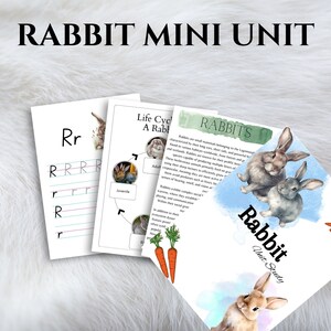 Rabbit Unit Study| Bunny| Homeschool Printable | Printables for Kids ...