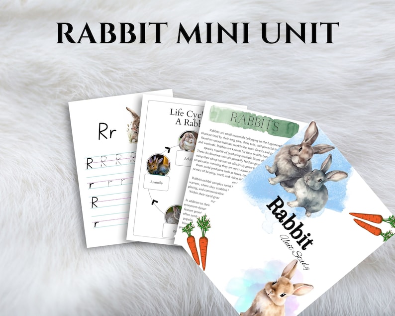Rabbit Unit Study| Bunny| Homeschool Printable | Printables for Kids ...
