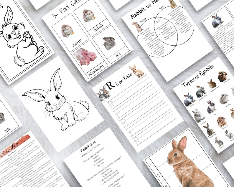 Rabbit Unit Study| Bunny| Homeschool Printable | Printables for Kids ...