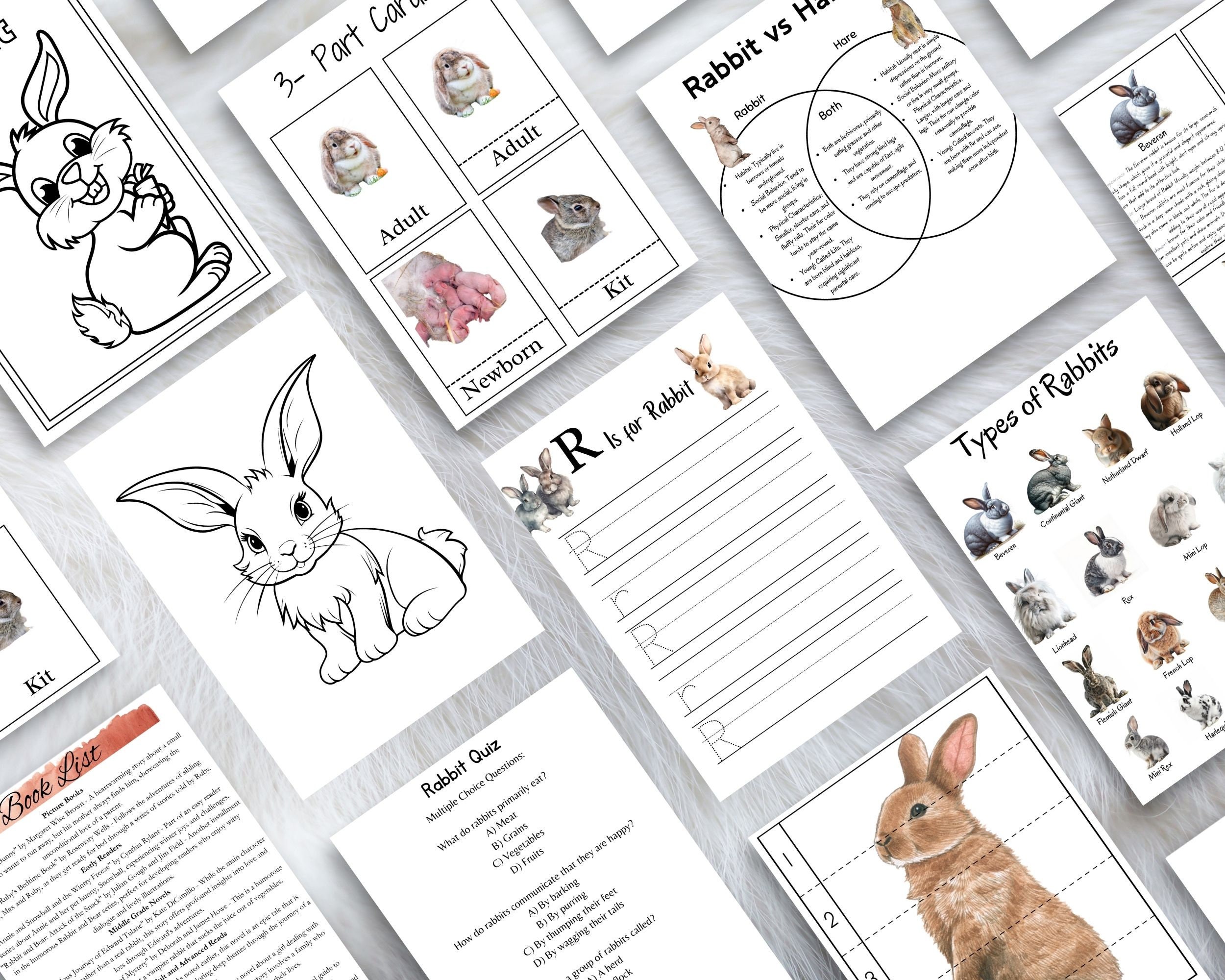 Rabbit Unit Study| Bunny| Homeschool Printable | Printables for Kids ...