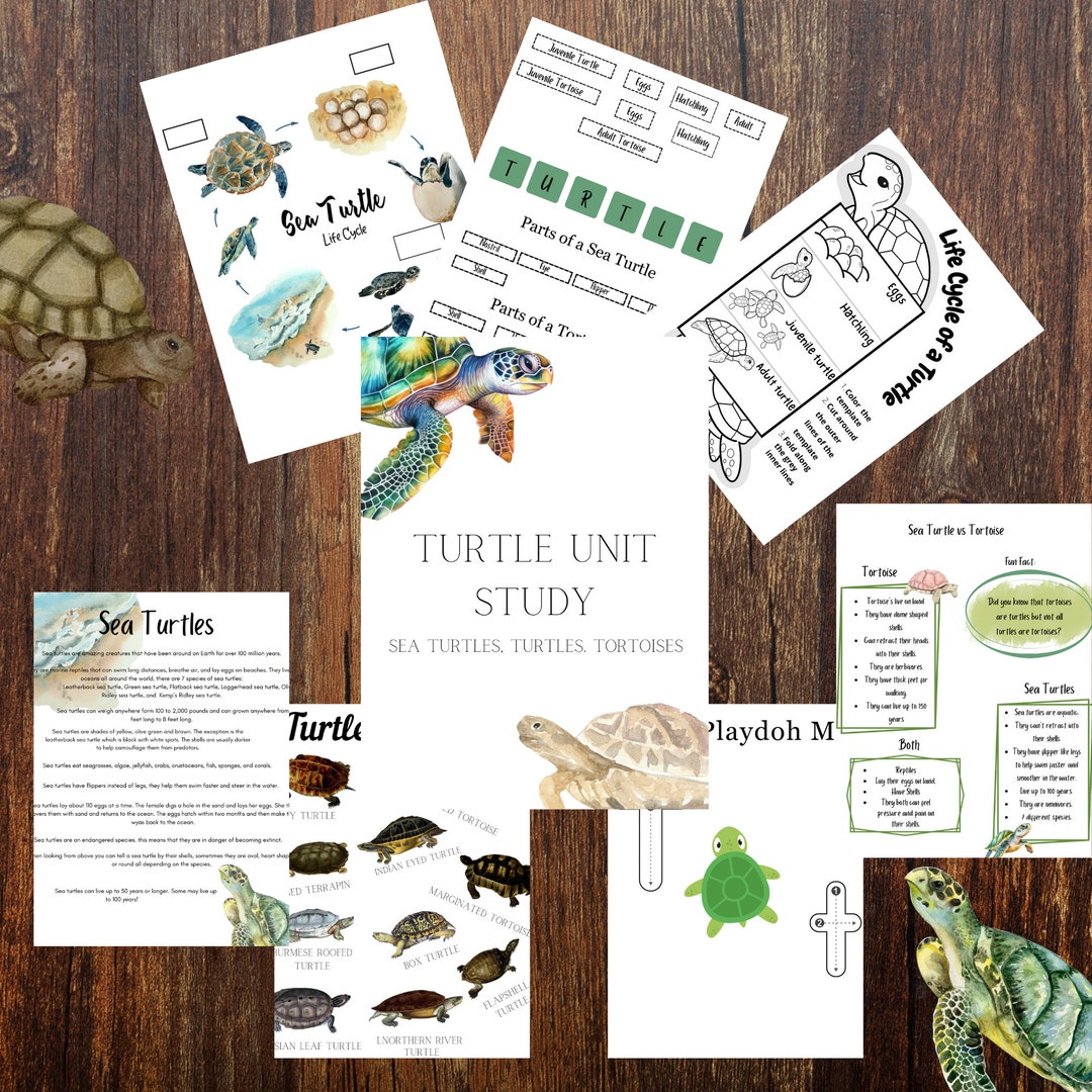 Turtle Unit Study/ INSTANT DOWNLOAD/ Turtles, Sea Turtles, Tortoises - Etsy