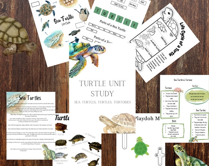 Life Cycle of a Sea Turtle Letter and Word Tracing / Handwriting ...