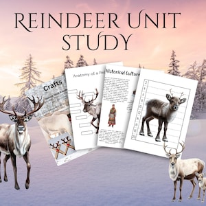 Reindeer Unit Study | Homeschool Printable | Nature Study | Instant ...