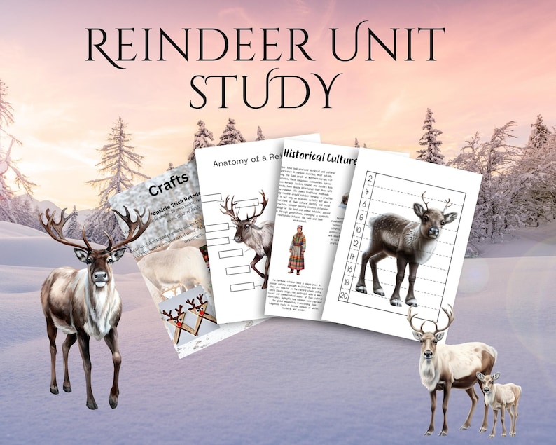 Reindeer Unit Study Homeschool Printable Nature Study Instant Download ...