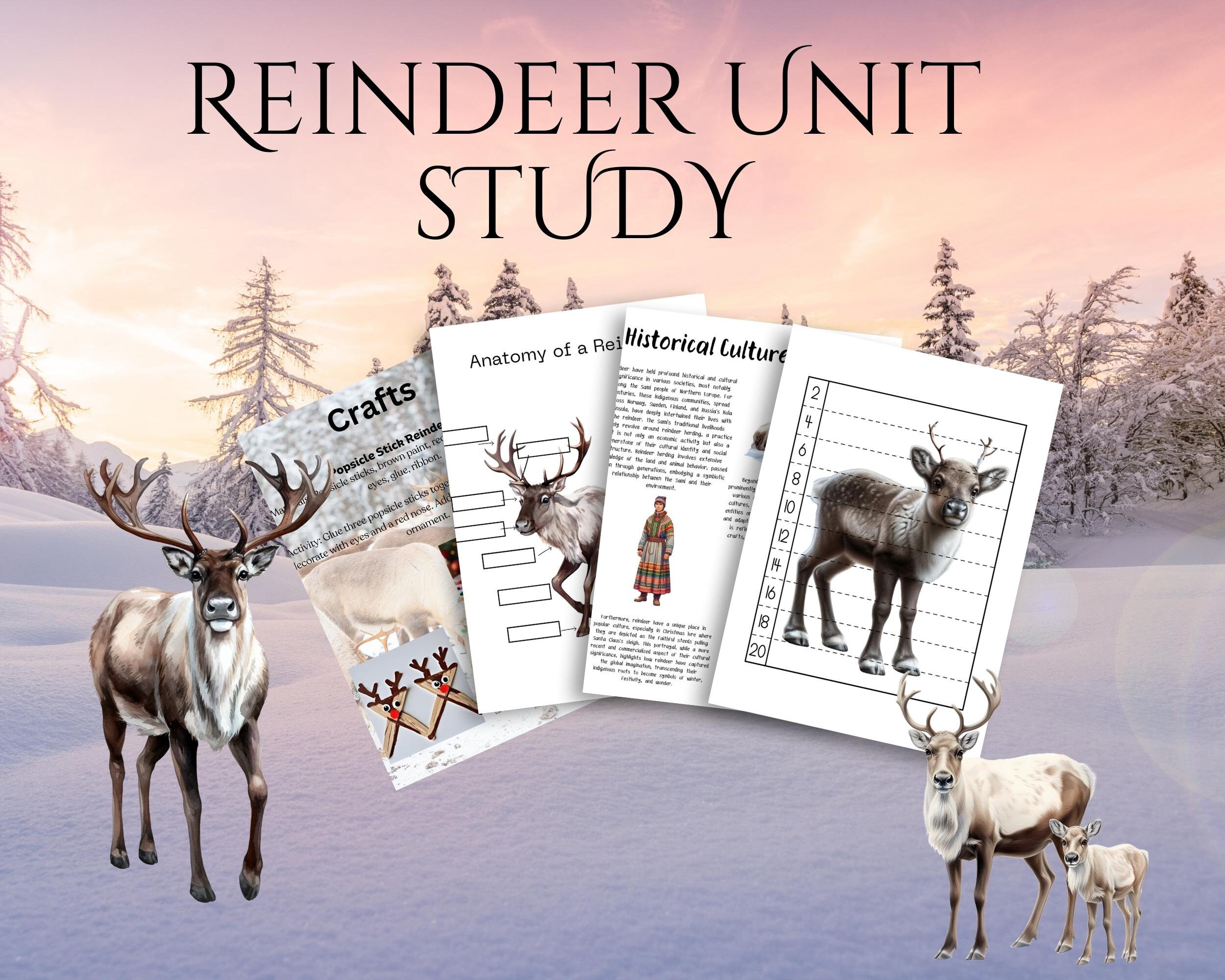 Reindeer Unit Study | Homeschool Printable | Nature Study | Instant ...