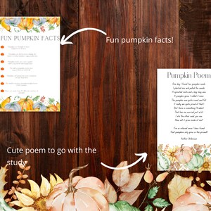 Pumpkin Unit Study INSTANT DOWNLOAD Fall Study - Etsy