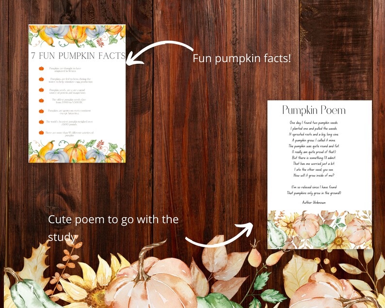 Pumpkin Unit Study INSTANT DOWNLOAD Fall Study - Etsy